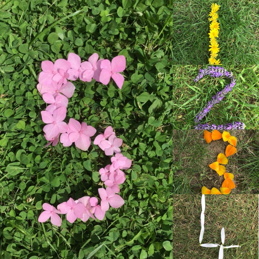 Nature Display Numbers - 1-20 - Montessori Cards - EYFS - Flowers ...