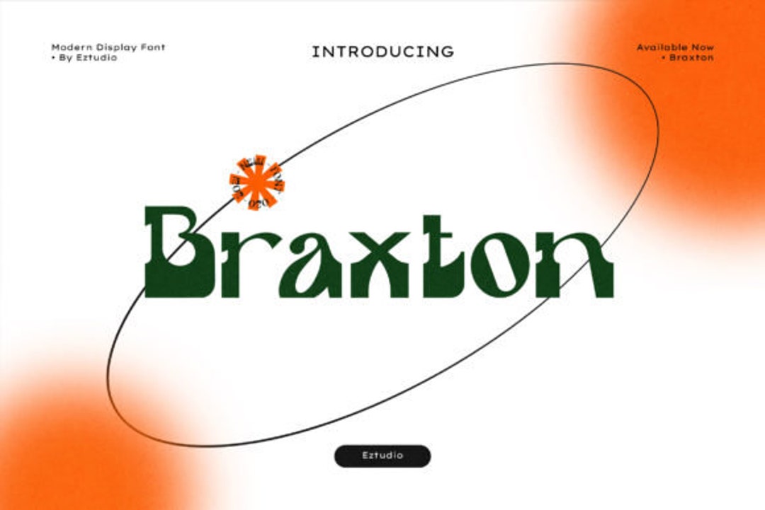 Braxton Font, Modern Font, Beautiful Font, Vintage Font, Script Font, Retro Calligraphy, Classic ...