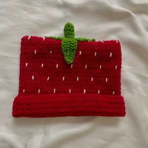 Crochet Strawberry Cat Beanie - Etsy