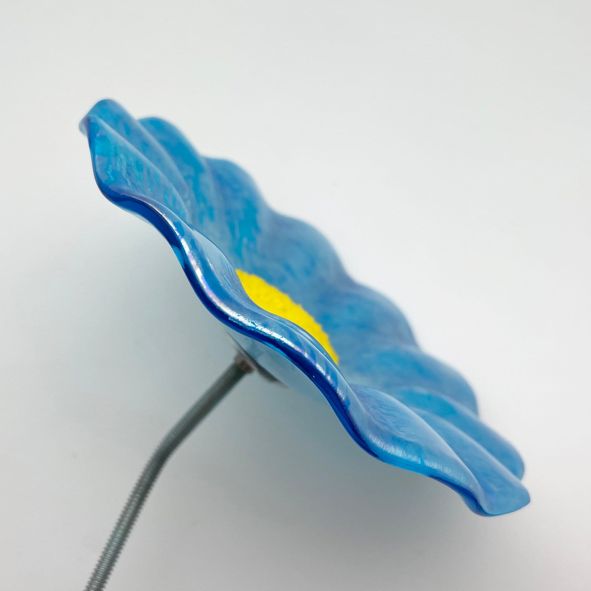Blue Morning Glory Single 5-1/2" | Fused Glass Flower | Garden Art | 3 ...