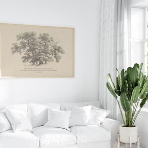 Isaiah 61:3 Oaks of Righteousness Bible Verse Wall Art Poster, Rustic ...