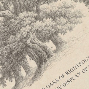 Isaiah 61:3 Oaks of Righteousness Bible Verse Wall Art Poster/canvas ...