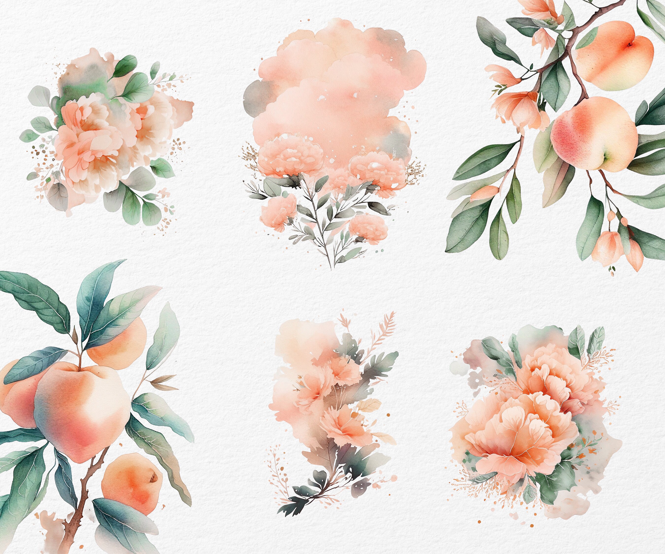 Peach Watercolor Clipart Wedding Graphics PNG Bundle - Etsy
