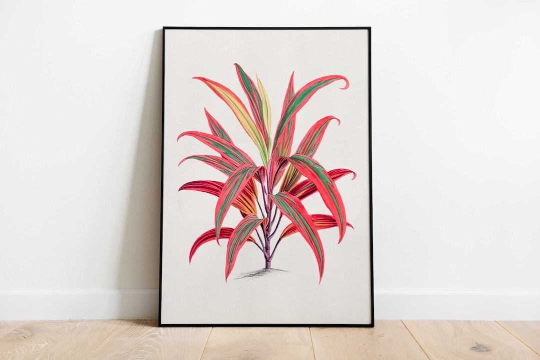 Ti Plant Watercolor Art Print Digital Print Farmhouse Wall Art Prints ...