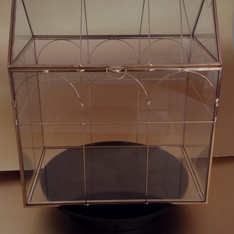 Terrarium Containers - Etsy