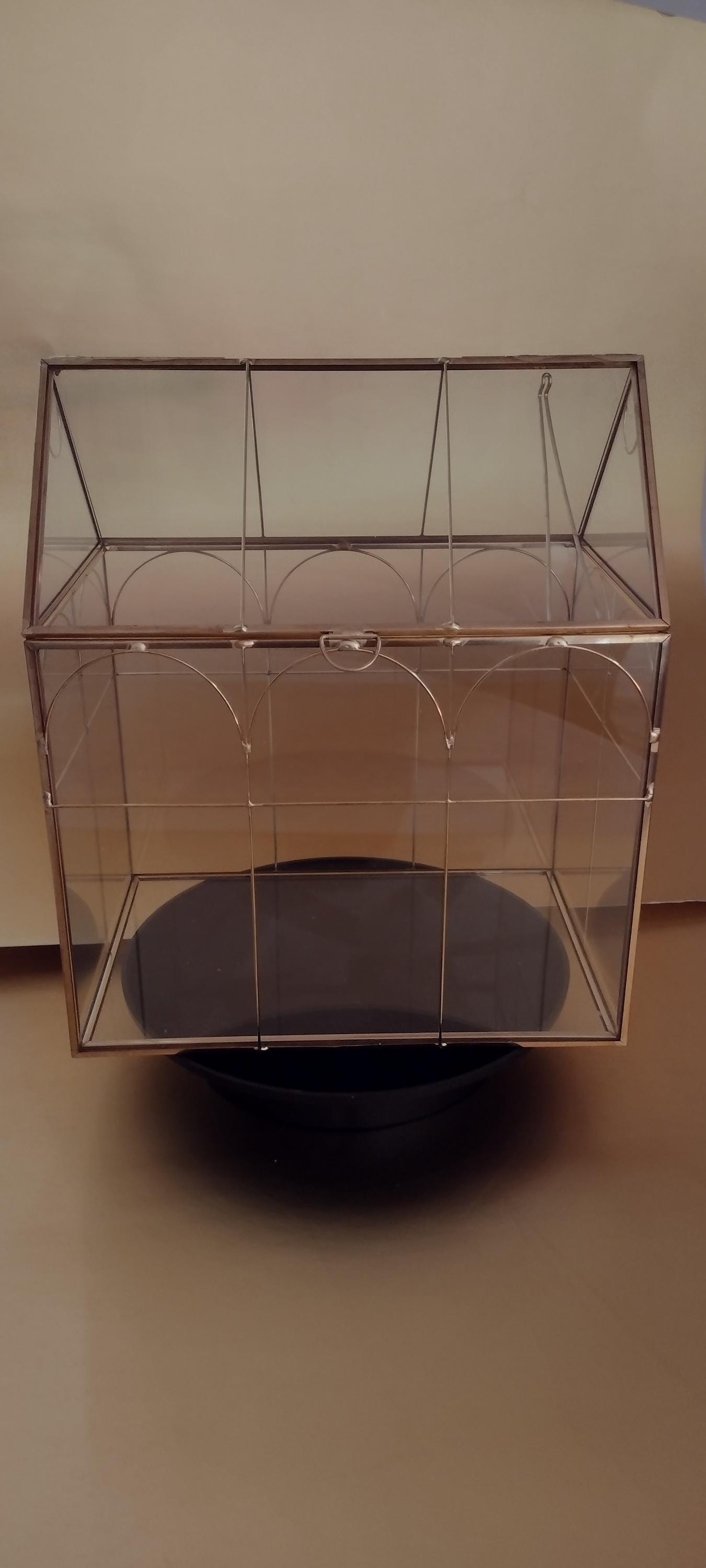 Glass Terrarium / Display Case - Etsy