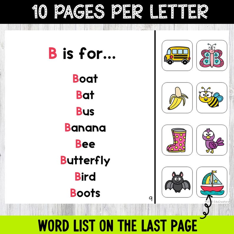 Alphabet Adapted Books, Interactive Special Education Books ESL ELL ABC ...