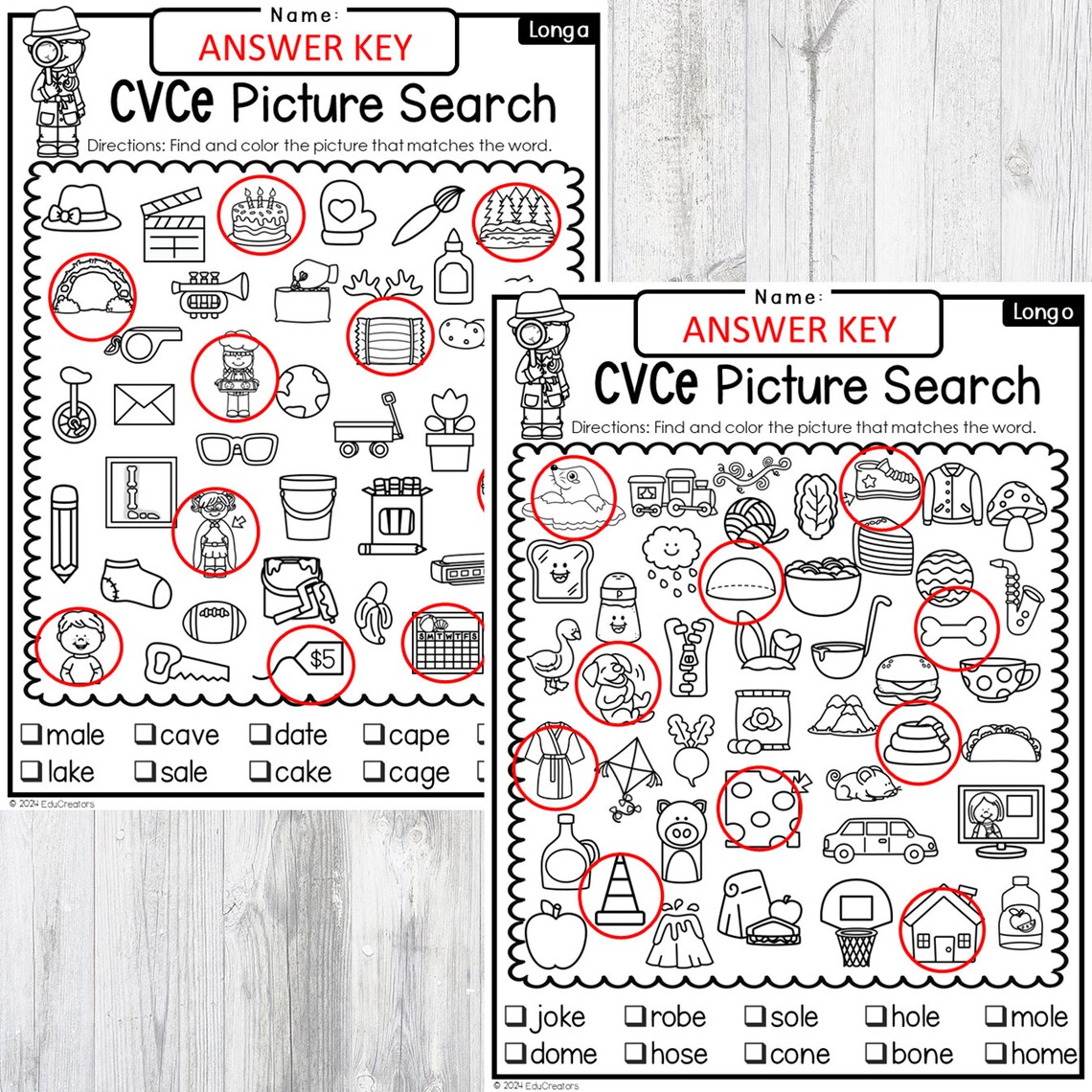 Cvce Phonics Picture Search I Spy Read and Find Worksheet Puzzles - Etsy