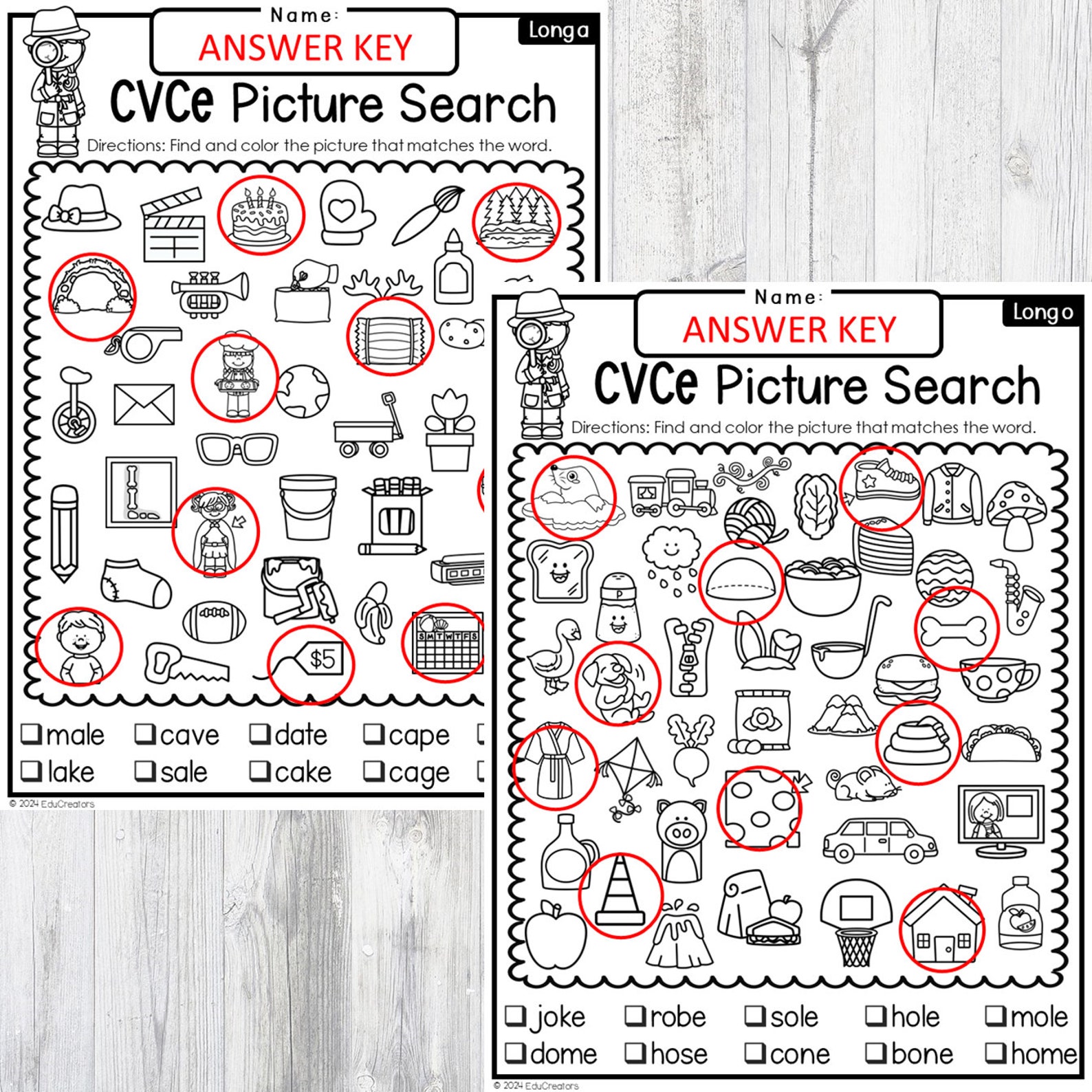Cvce Phonics Picture Search I Spy Read and Find Worksheet Puzzles - Etsy
