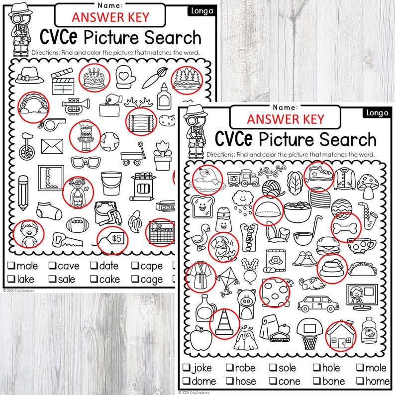 Cvce Phonics Picture Search I Spy Read and Find Worksheet Puzzles - Etsy