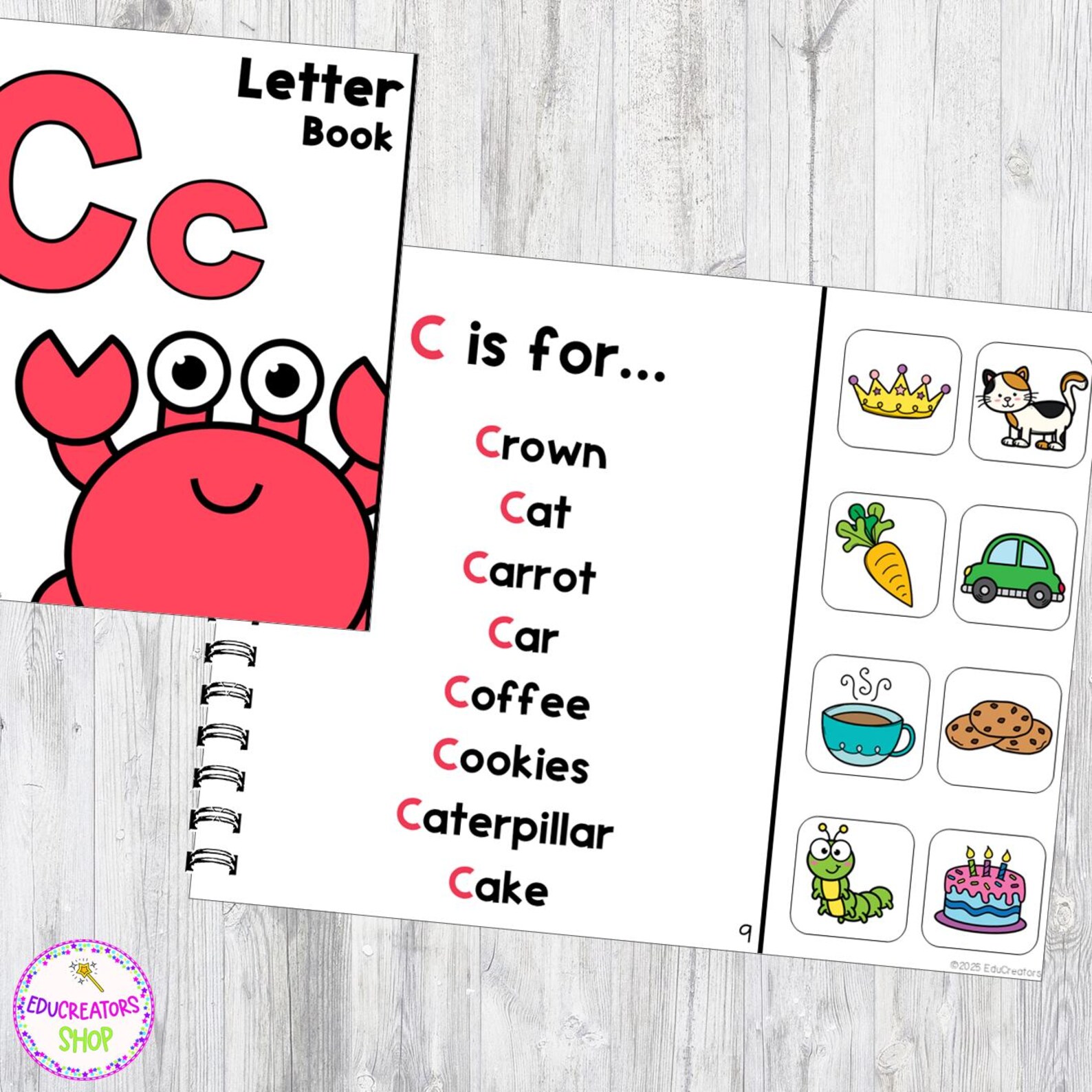 Alphabet Interactive Adapted Books for Special Education (digital ...