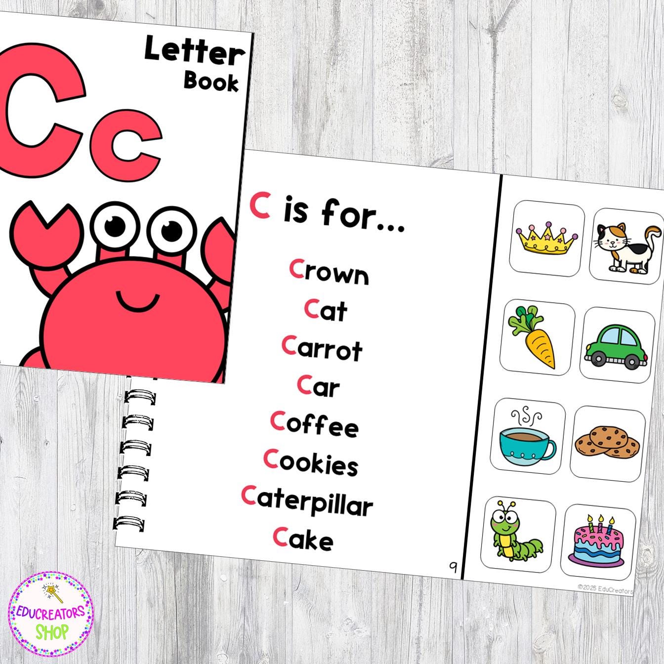 Alphabet Adapted Books Interactive Special Education Books ESL ELL - Etsy