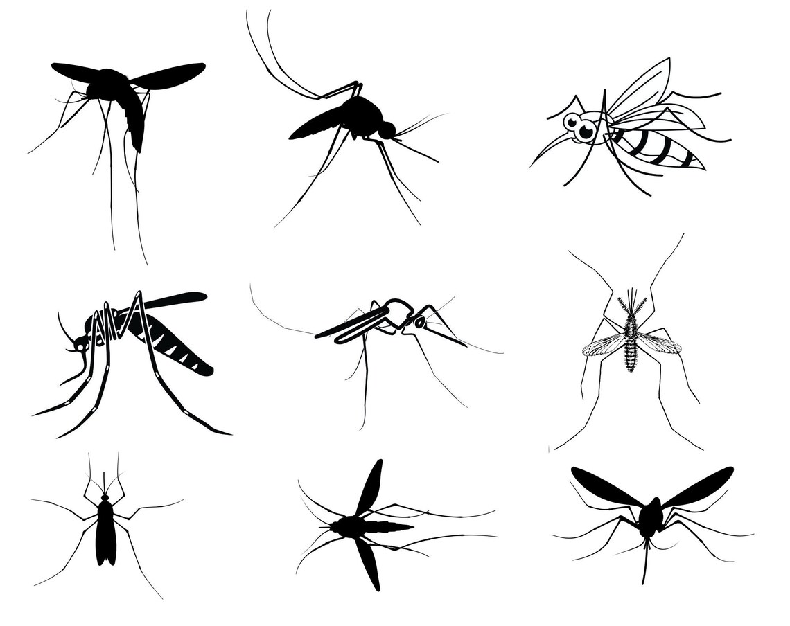 Mosquito Svg Bundle, Dengue Svg, Dengue Virus Svg, Malaria Svg ...