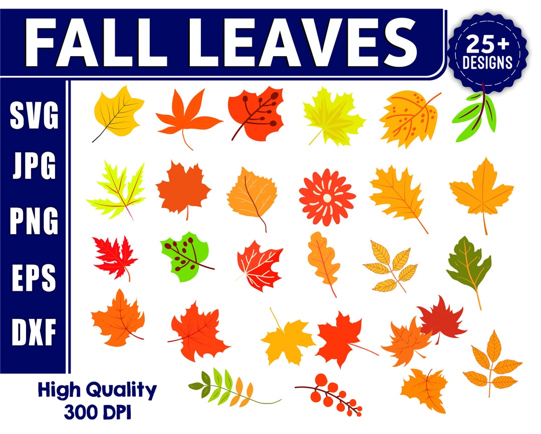 Fall Leaves Svg Bundle, Fall Leaves, Autumn Leaves, Fall Leaf Glowforge ...