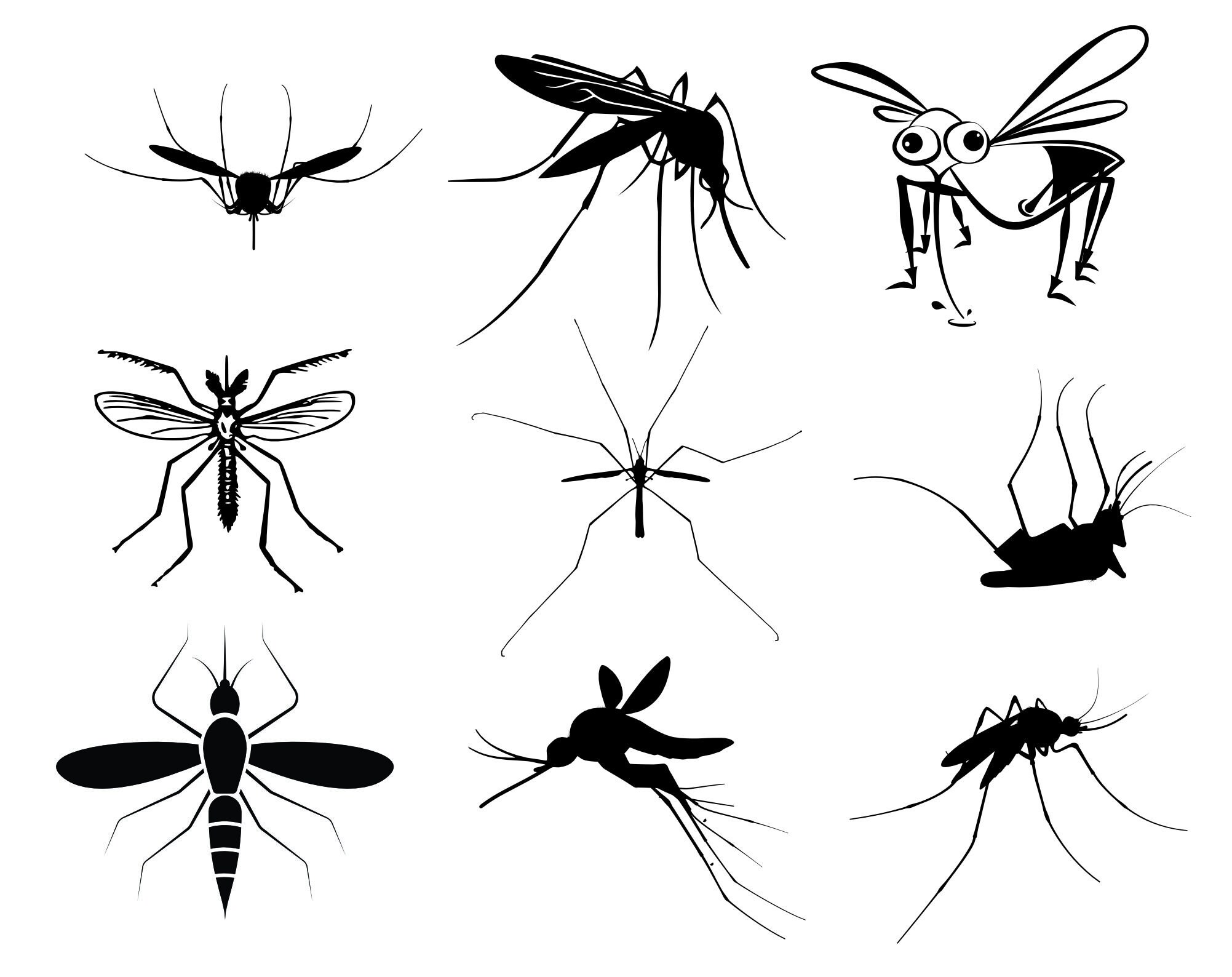 Mosquito Svg Bundle, Dengue Svg, Dengue Virus Svg, Malaria Svg ...