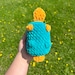 Platypus Pal Crochet Pattern - Etsy