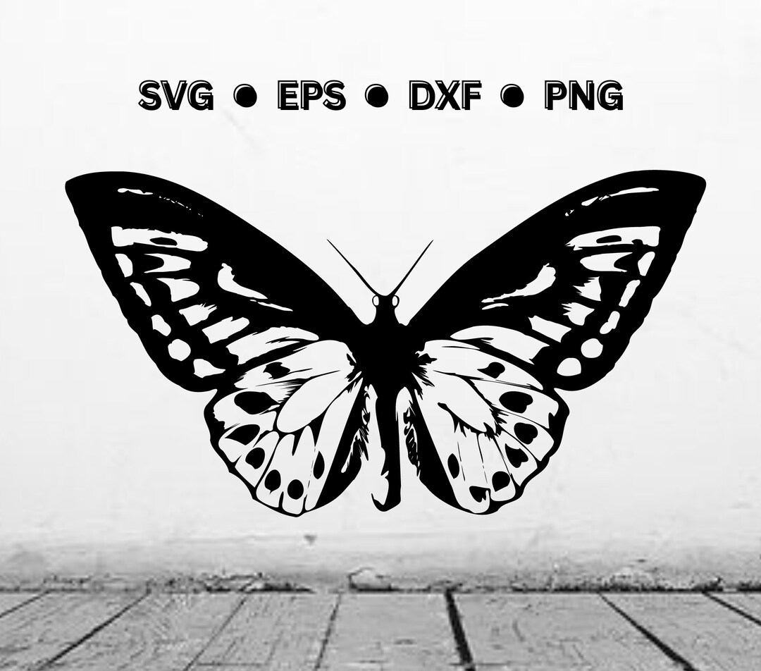 Butterfly SVG Digital Vector File Butterfly Png Butterfly - Etsy