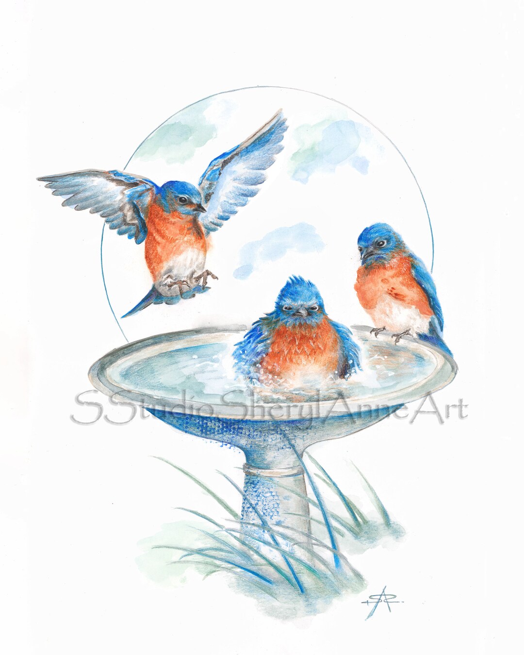 Colorful Bird Artwork / Birds in Birdbath Wall Art / Group of Bluebirds ...