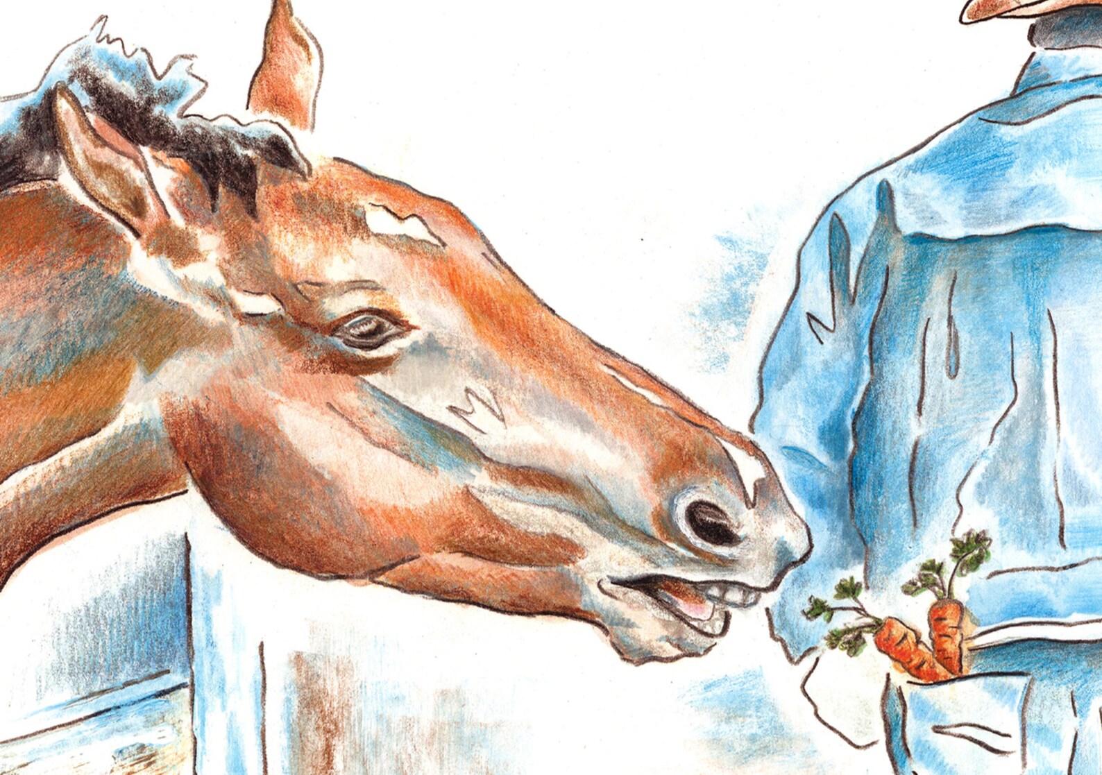 Whimsical Line Art / Horse Colored Pencil Drawing / Horse Snatching ...