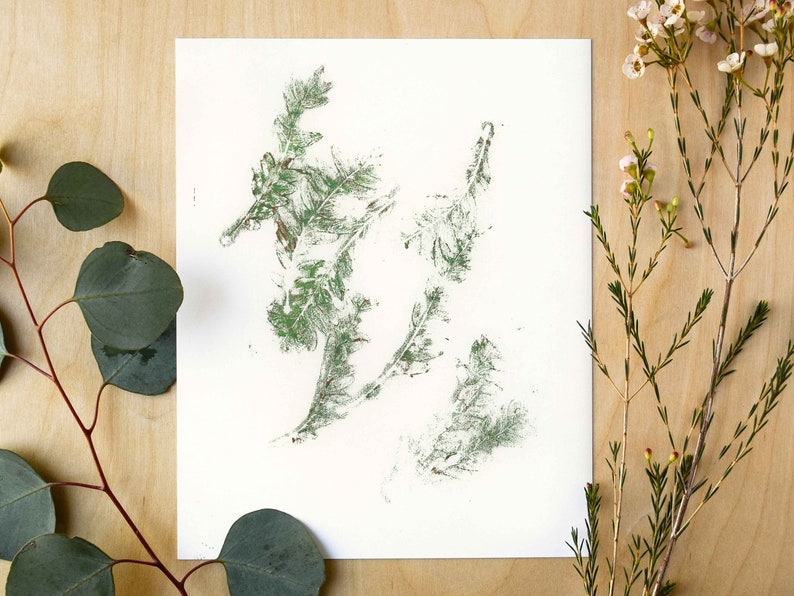 Honey Locust Leaf Art Print – Green Botanical Gel Plate Design - Etsy