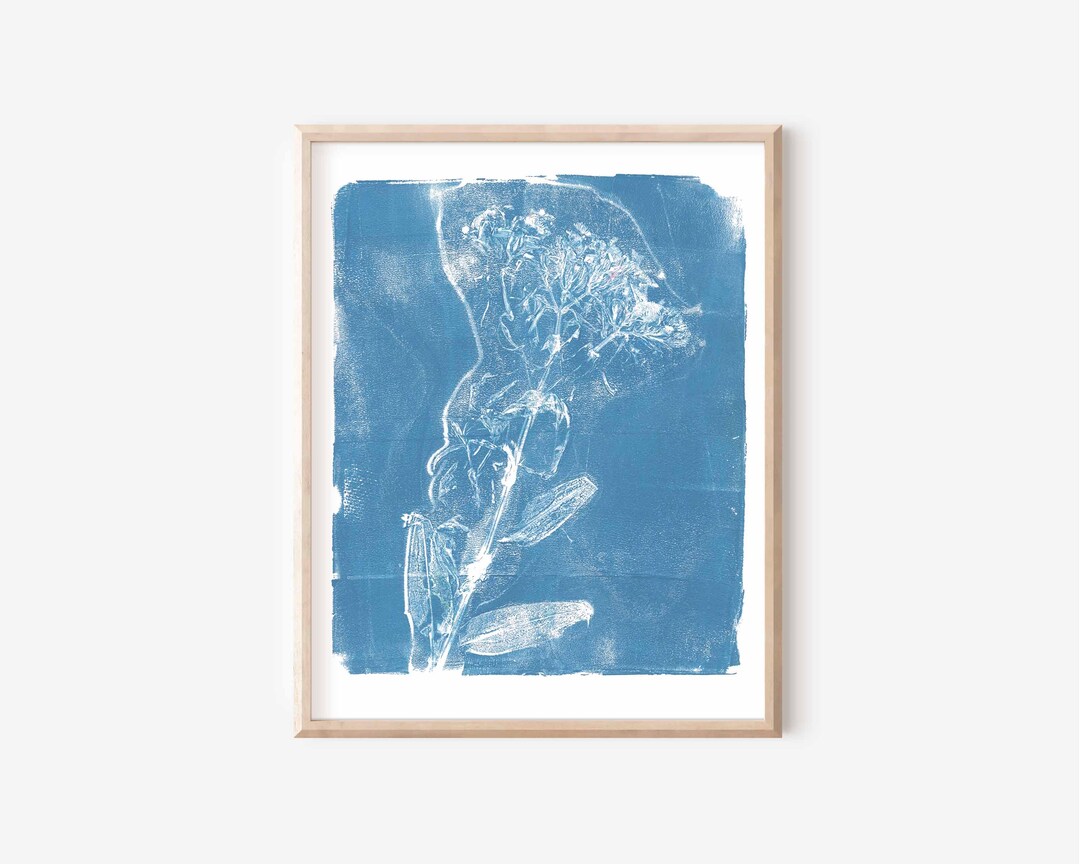 Botanical Monoprinting Boho Earthy Blue Pressed Sweet William Flower ...