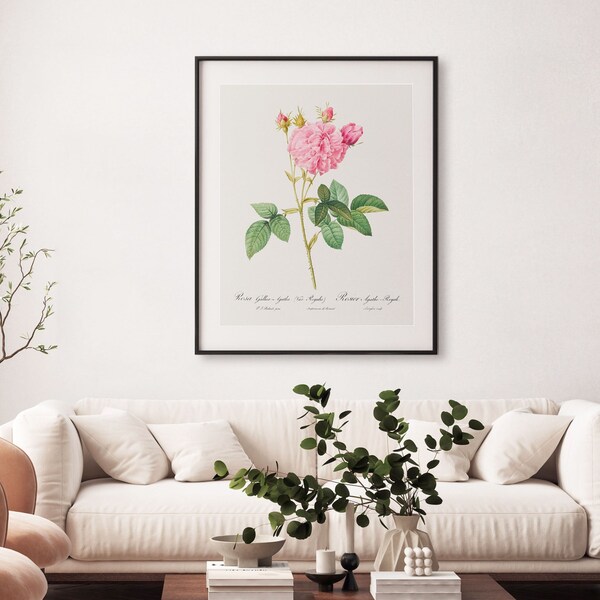 Printable Vintage Rose Art Print - Etsy