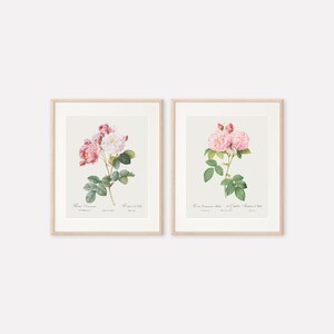 Printable Rose Wall Art Set of 2 - Etsy