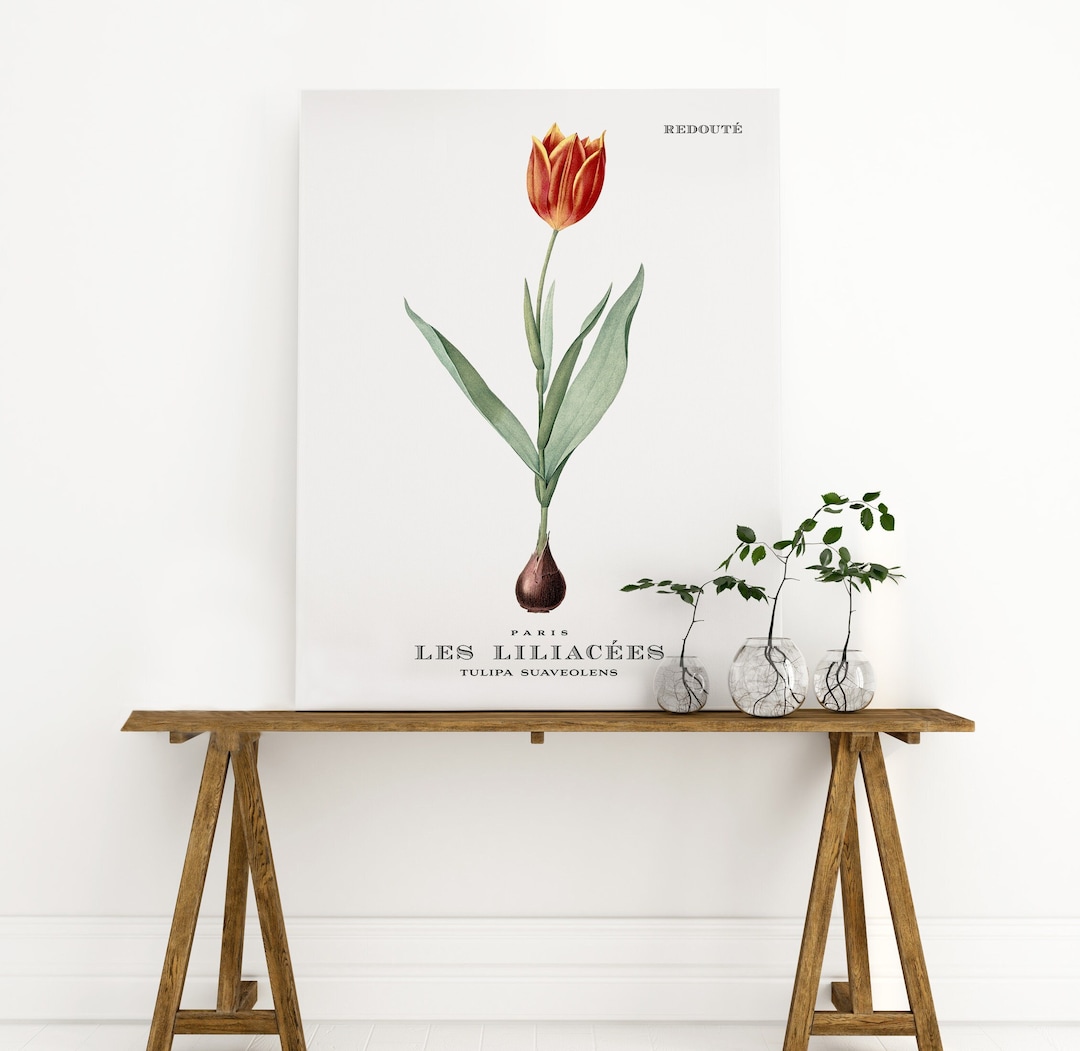 Vintage Tulip Art Print, Printable Flower Art, Floral Digital Poster ...