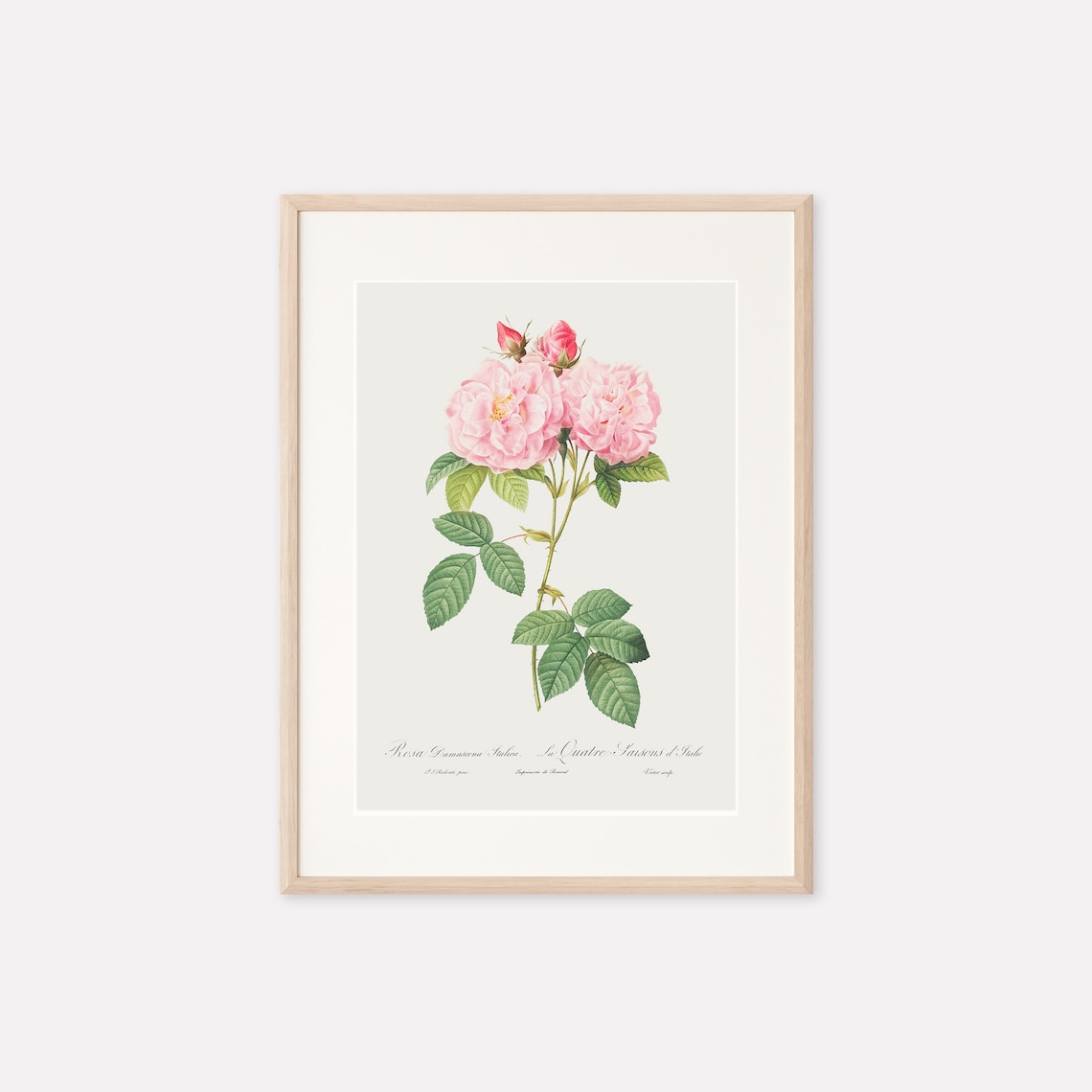 Printable Rose Wall Art Set of 2 - Etsy