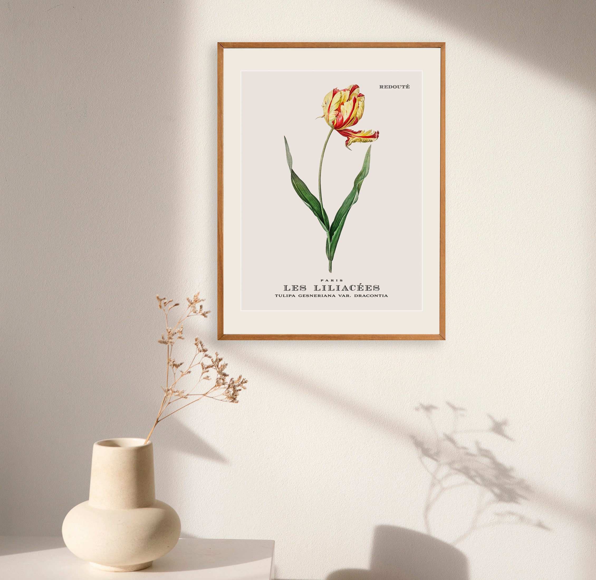 Tulip Flower Digital Wall Art Print: Vintage Printable Botanical ...