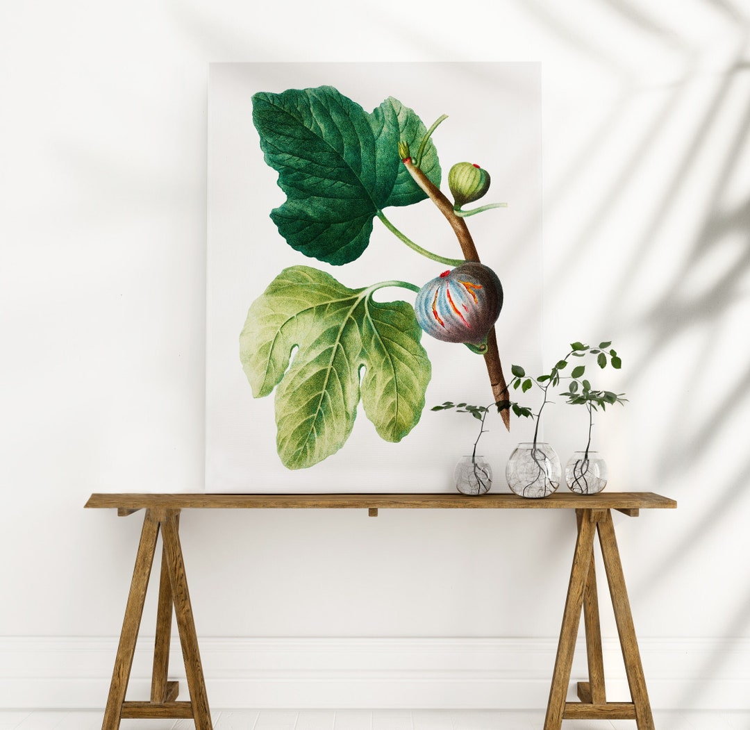 Fig Print, Fruit Wall Art, Botanical Art, Vintage Printable Art ...