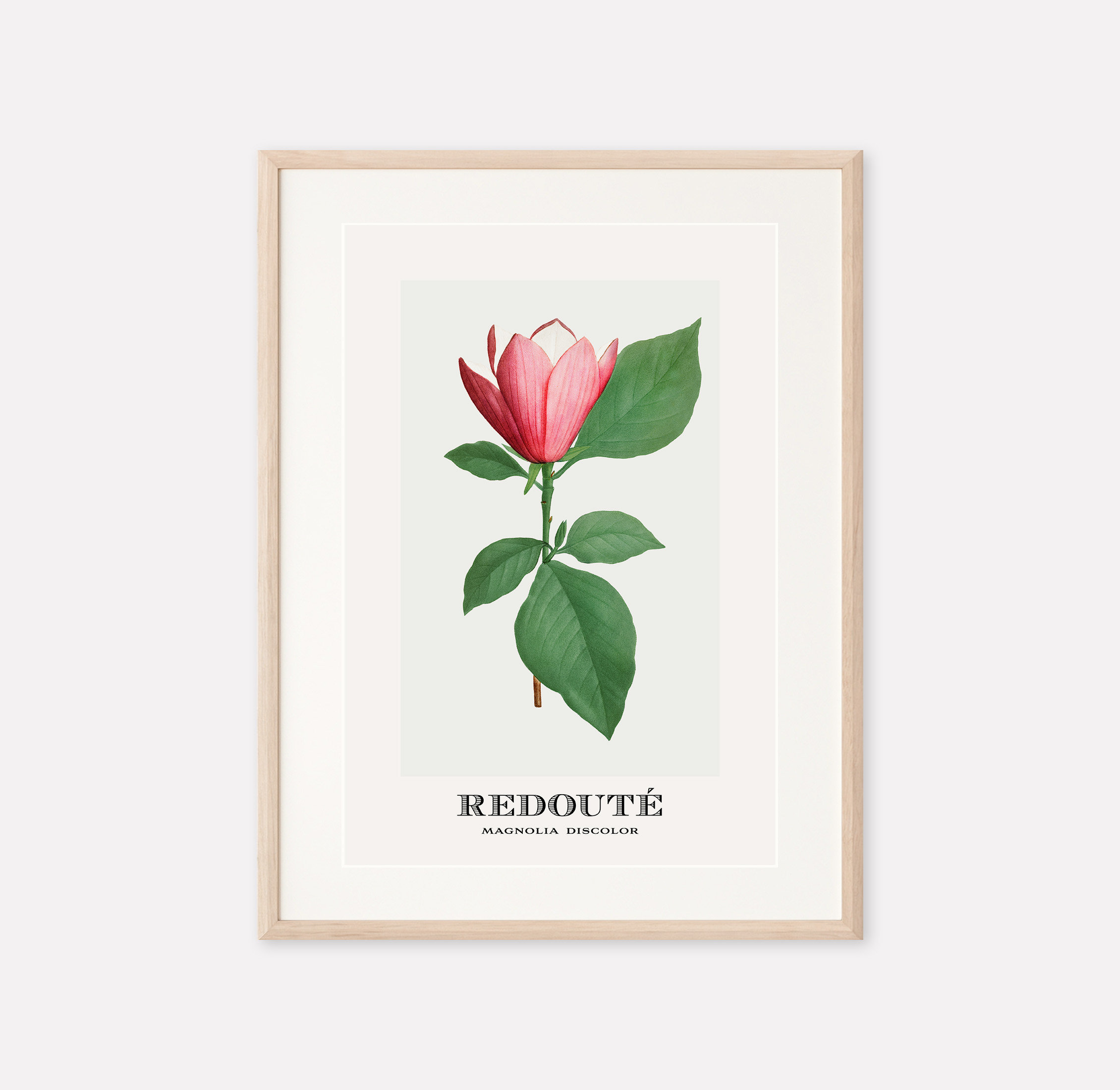 Magnolia Printable Art, Flower Wall Art, Vintage Printable Art, Digital ...