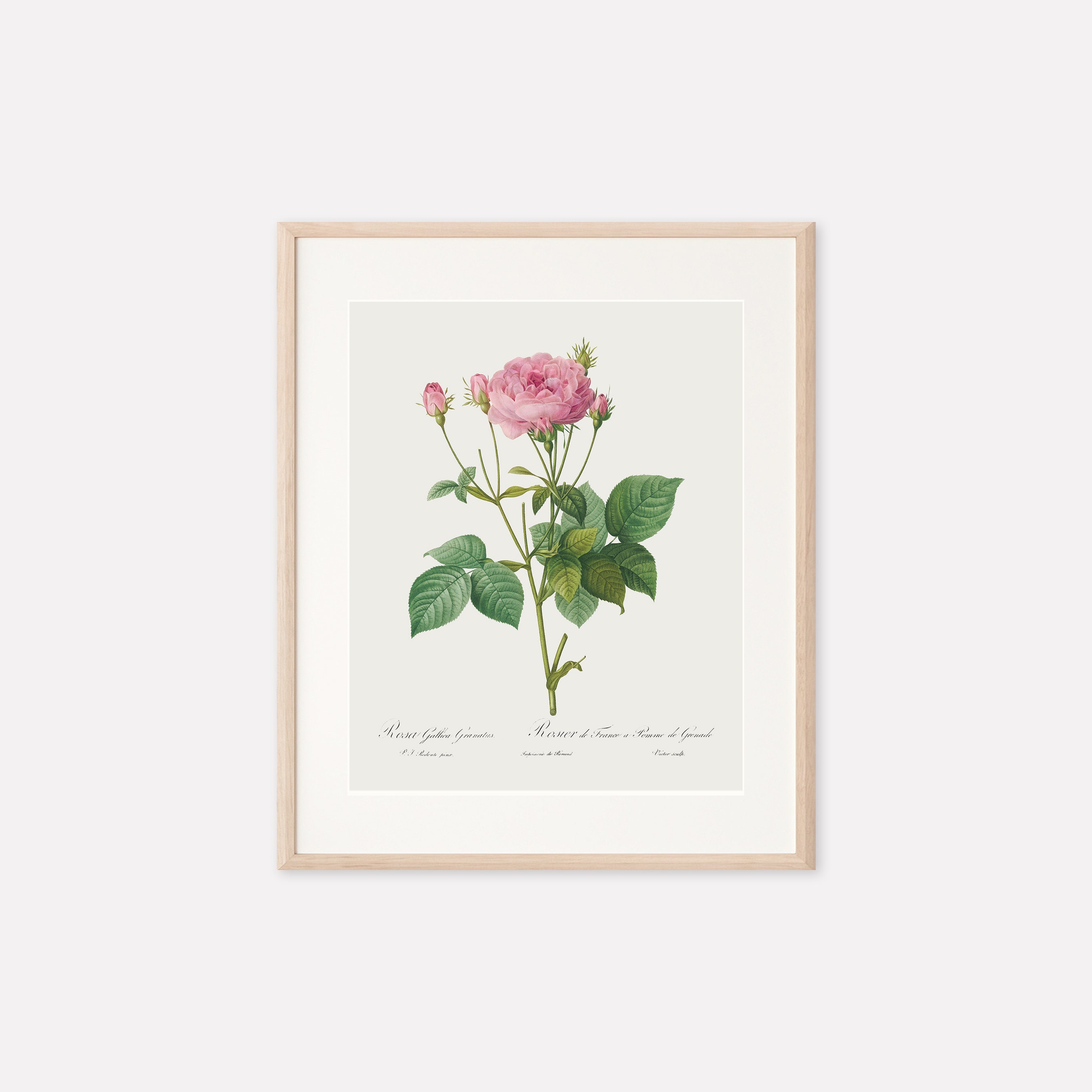 Printable Rose Flower Wall Art - Etsy