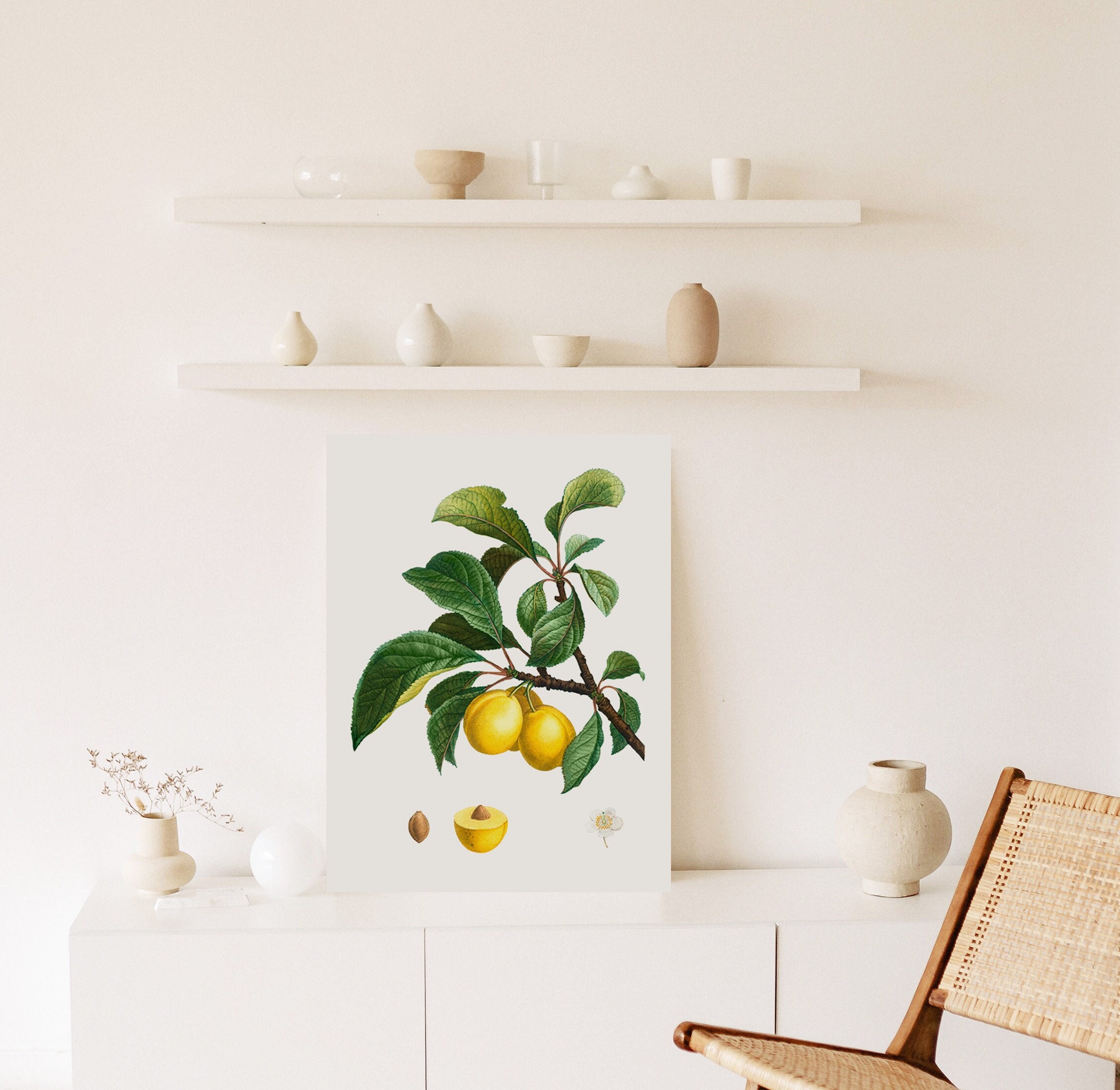 Fruit Printable Art, Kitchen Art Print, Botanical Poster, Plum Wall Art ...