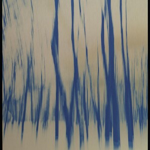 Blue Forest - Etsy