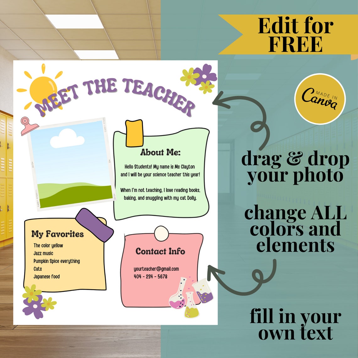 Meet the Teacher, Teacher Template, Back to School Flyer, Teacher ...