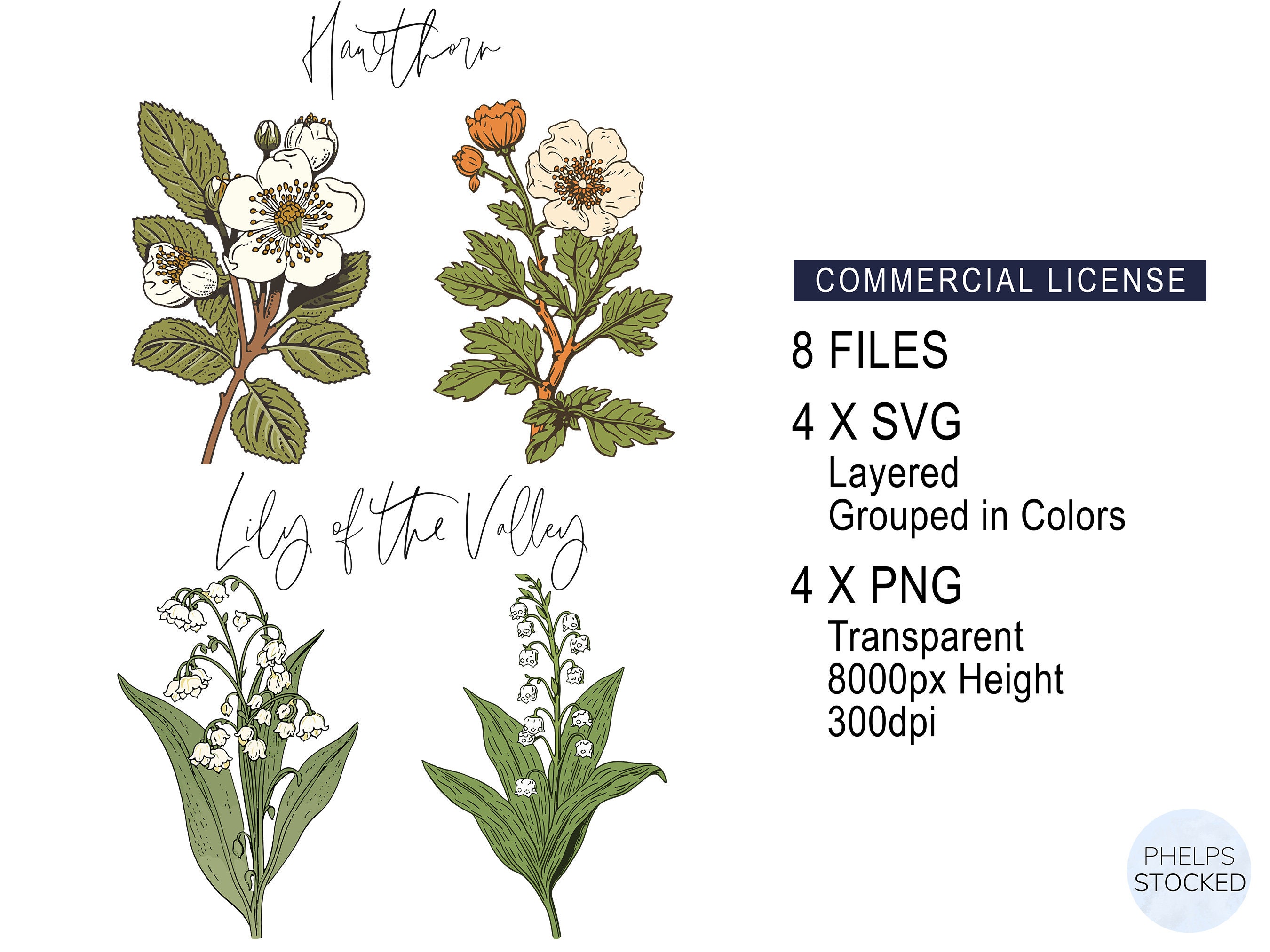 May Birth Month Flower Clipart SVG PNG Hawthorn Lily Bundle Sublimation ...