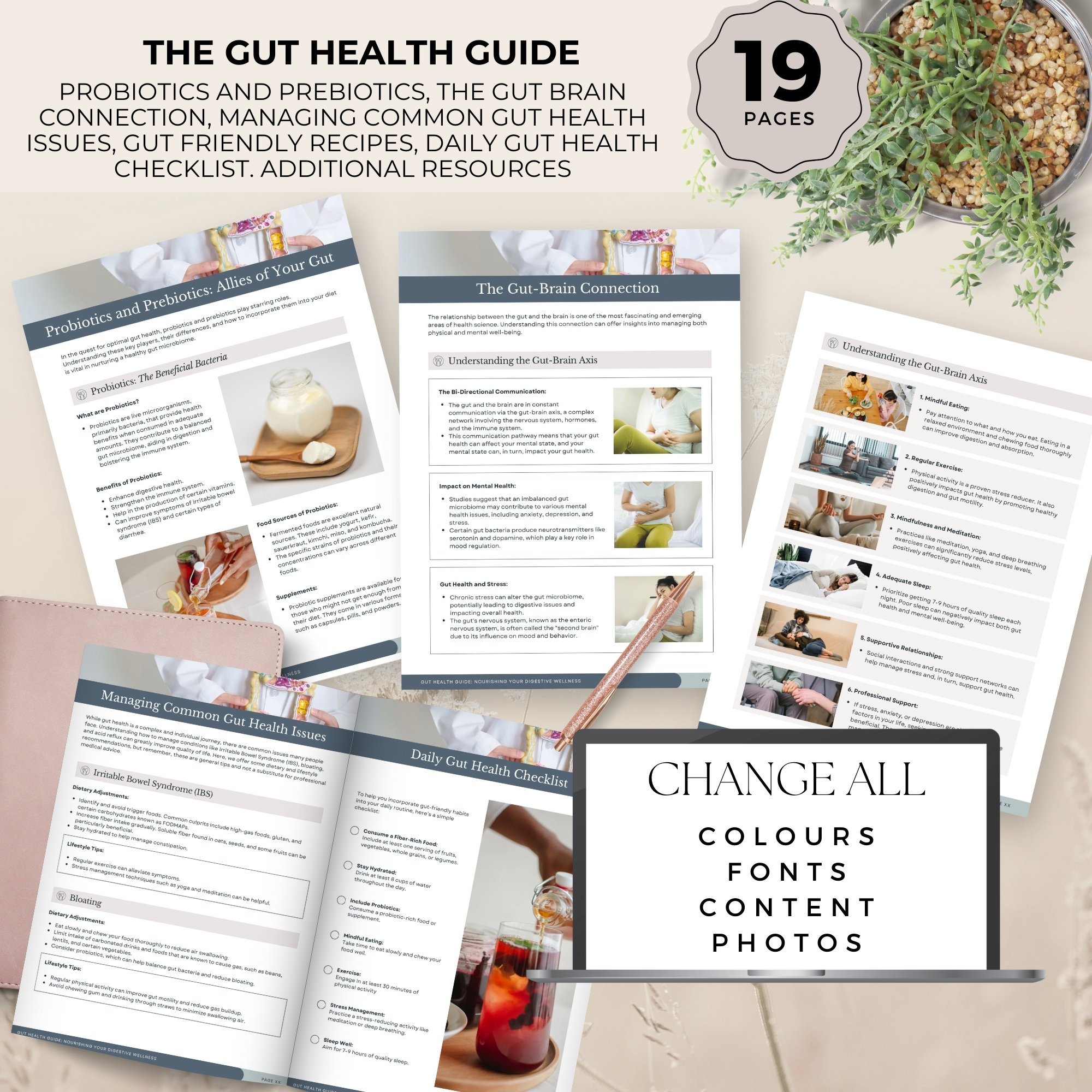Gut Health Guide for Health Coach Clients, Nutrition Coaches, Lead ...