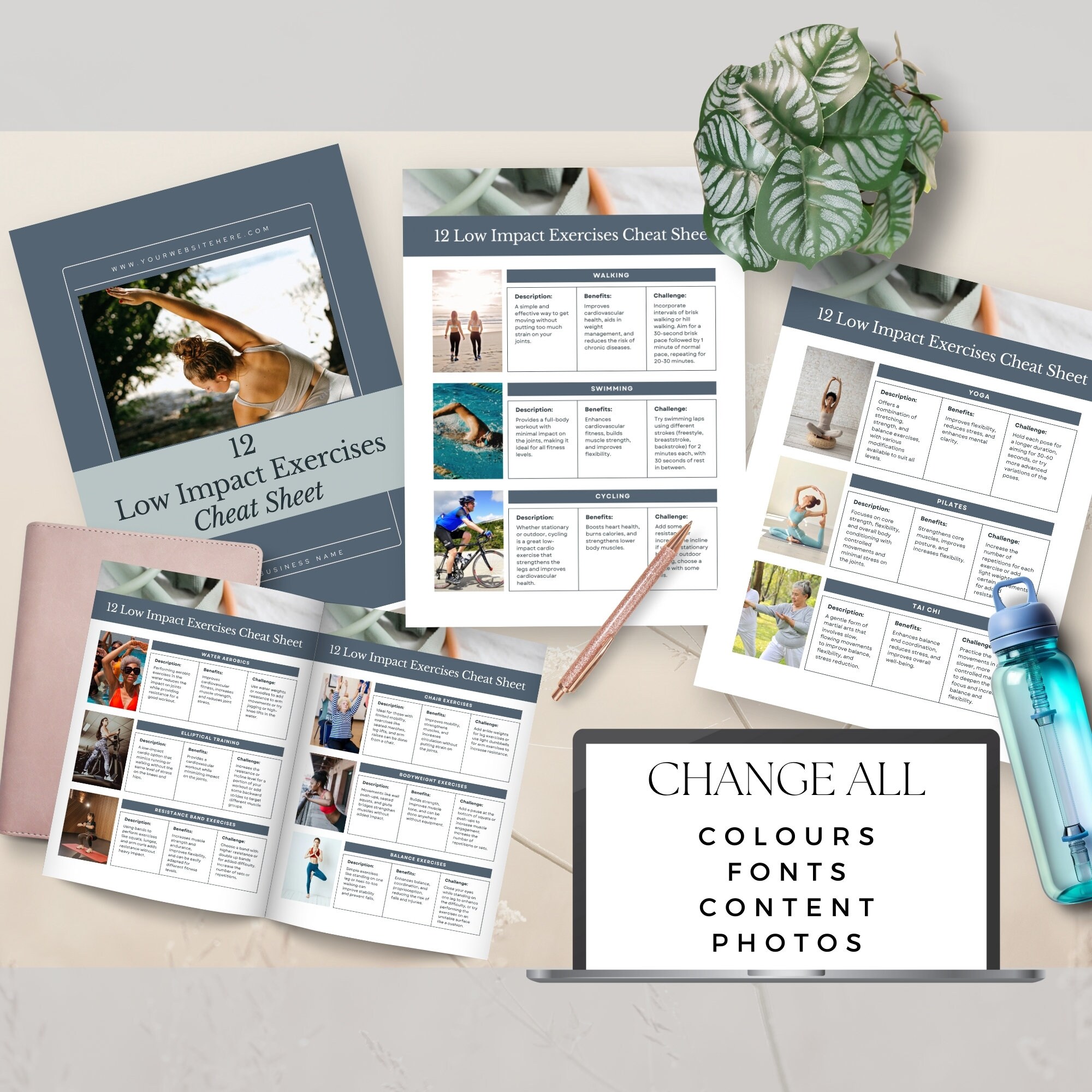 Fitness Trainer Cheat Sheet, Health Coach Cheat Sheet, Low Impact ...