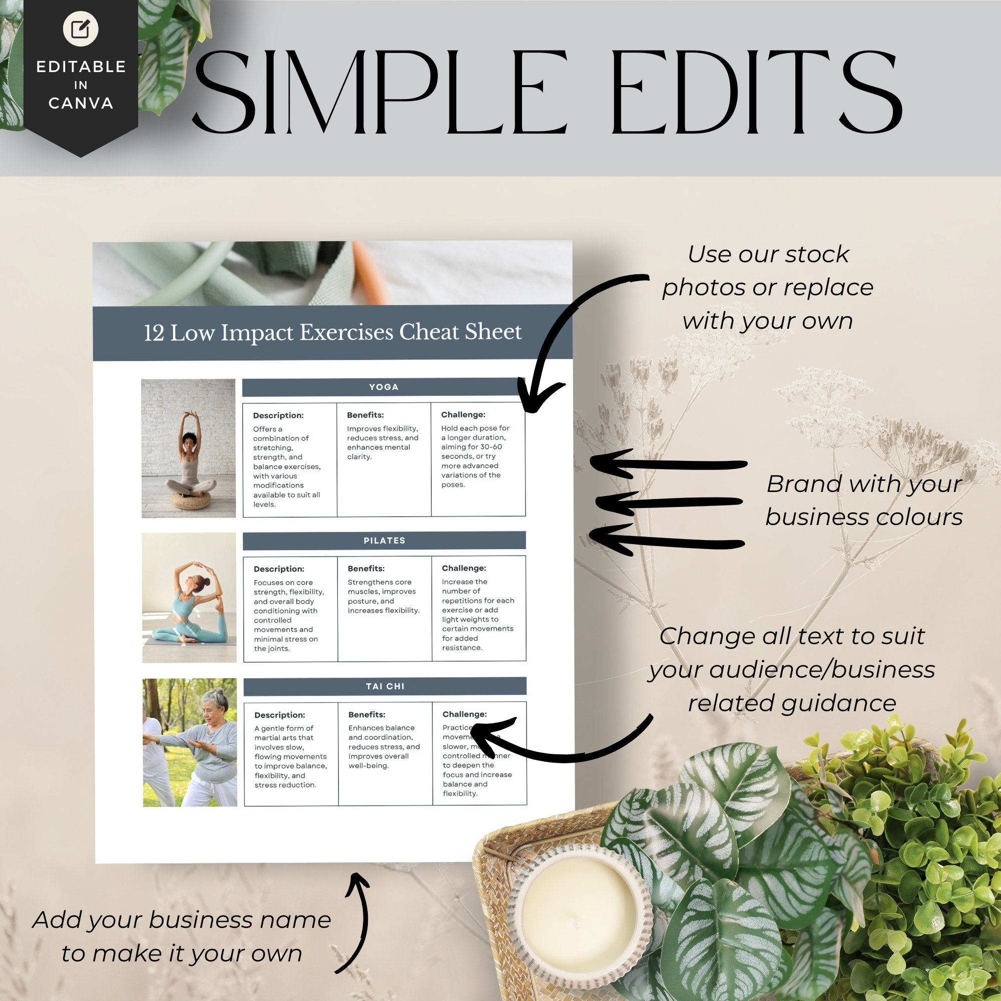 Fitness Trainer Cheat Sheet, Health Coach Cheat Sheet, Low Impact ...