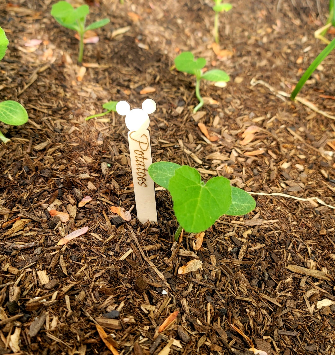 Mouse Garden Stakes, Garden Labels, Disney Garden, Disney Crafts ...