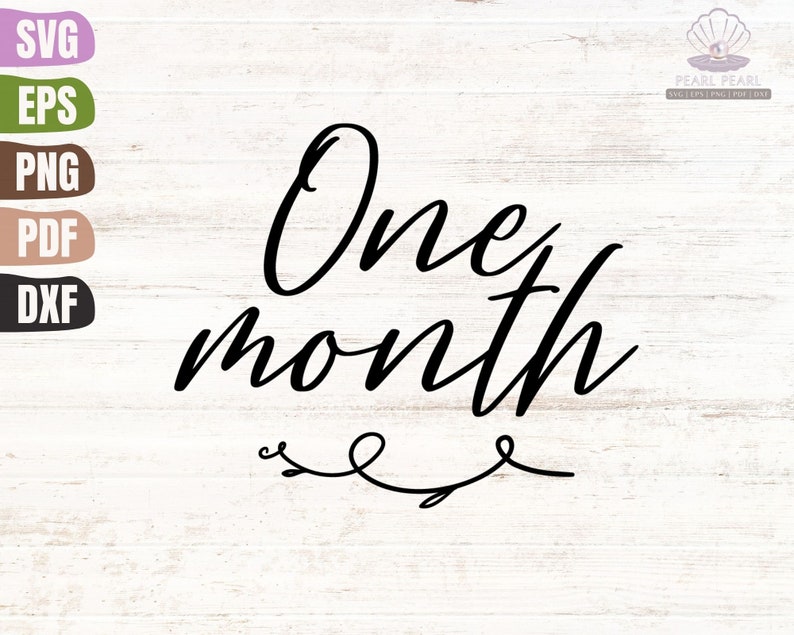 One Month Baby Milestone Bodysuit SVG DXF Eps Png Pdf Cut File Vector ...