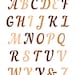 ABC Alphabet Printable for Playroom, Nursery, and Classroom Brown and ...