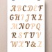 ABC Alphabet Printable for Playroom, Nursery, and Classroom Brown and ...