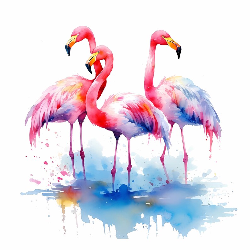 Watercolor Flamingo Clipart 10 High Quality Flamingo Jpgs - Etsy