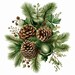Watercolor Christmas Reef With Pine Cones Clipart, 12 High Quality ...