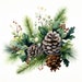 Watercolor Christmas Reef With Pine Cones Clipart, 12 High Quality ...
