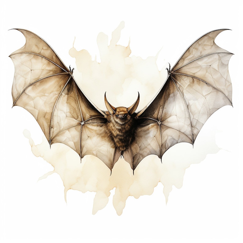 Watercolor Bat Halloween Clipart, 10 High Quality Bat Halloween Jpgs ...