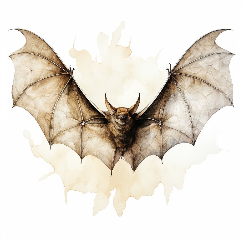 Watercolor Bat Halloween Clipart, 10 High Quality Bat Halloween Jpgs ...