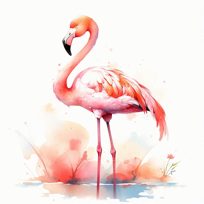 Watercolor Flamingo Clipart 10 High Quality Flamingo Jpgs - Etsy